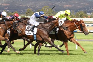 The Adelaide Cup – South Australian Racehorse Owners Association