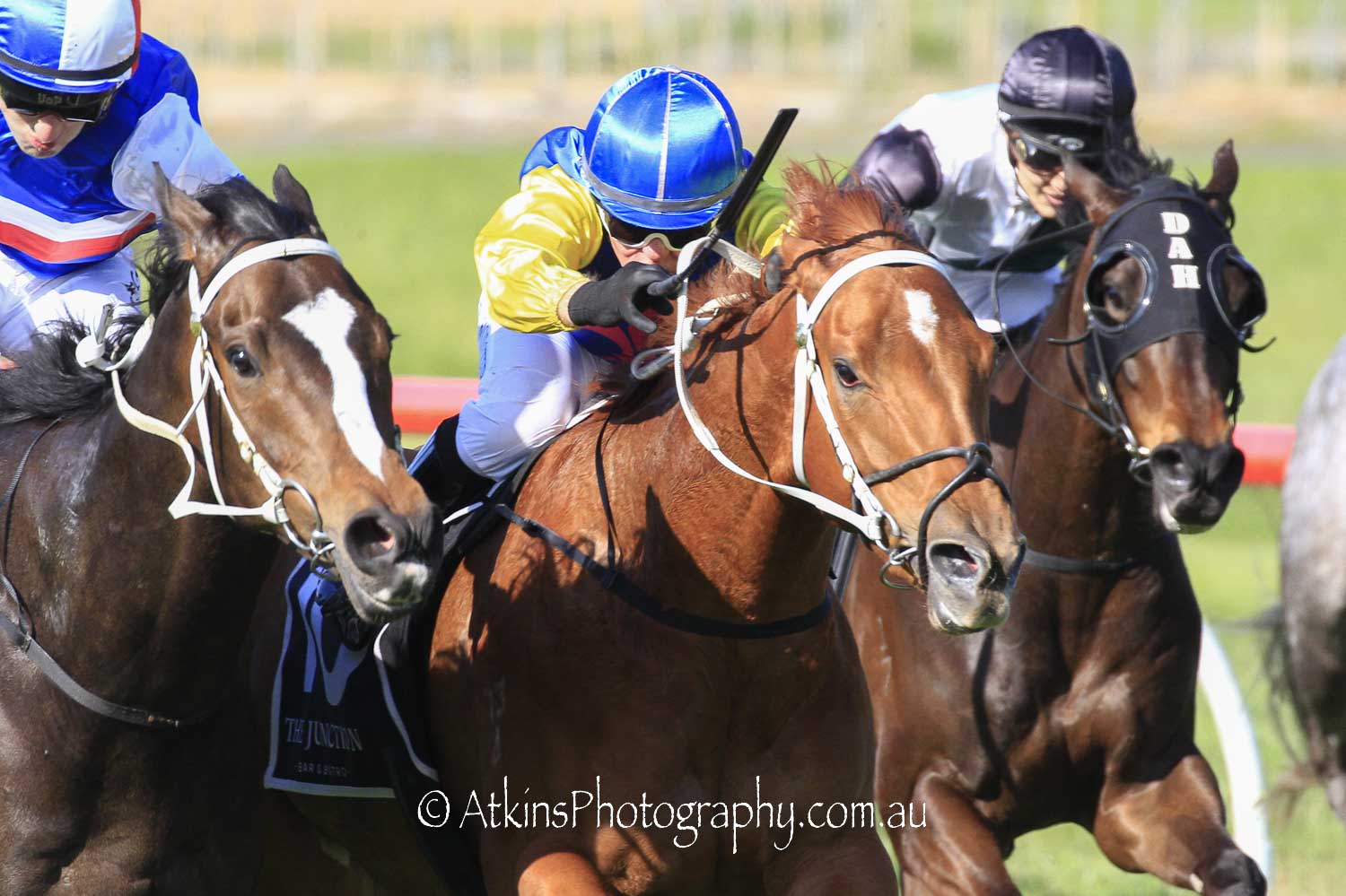 Owner of the Month for September Mike Shephard for Daring Move – South ...