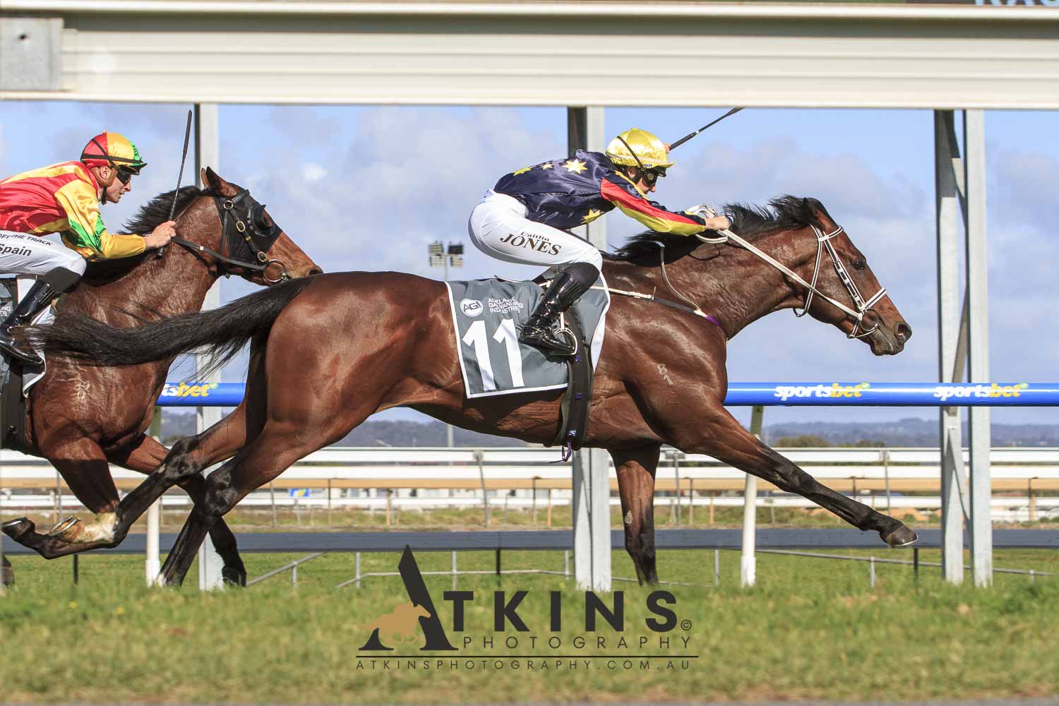 2024 – South Australian Racehorse Owners Association